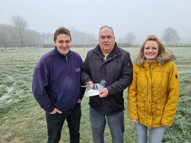 Home - SPA Pigeon Auctions